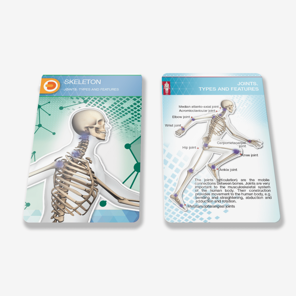 Flash Card - 4D Encyclopedia Of Anatomy - Aras Ilmu