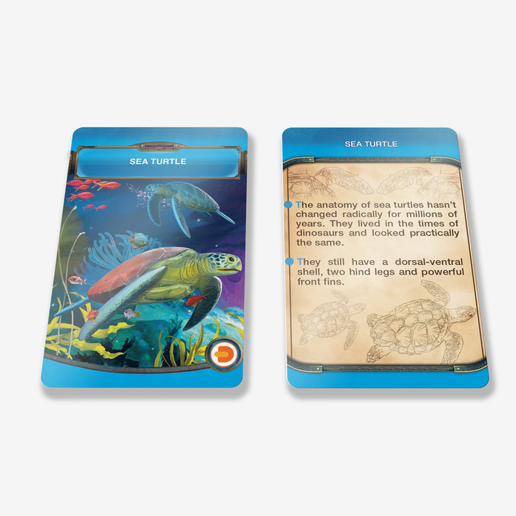Flash Card - 4D Encyclopedia Of The Oceans - Aras Ilmu