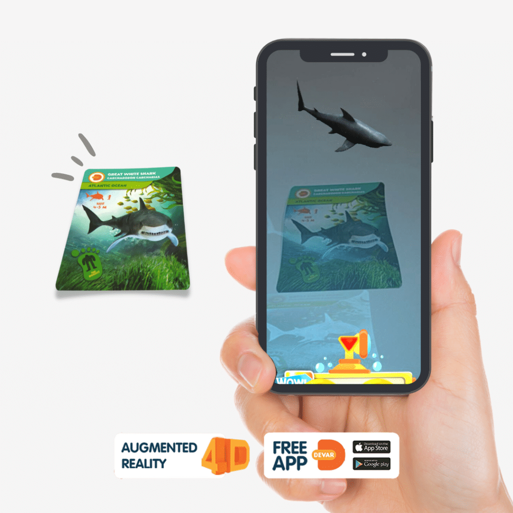 Flash Card - 4D Encyclopedia Of The Oceans - Aras Ilmu